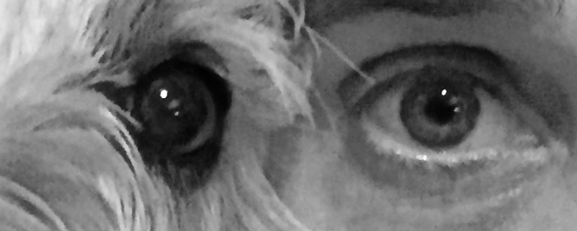 What It Means To Be An Animal Person