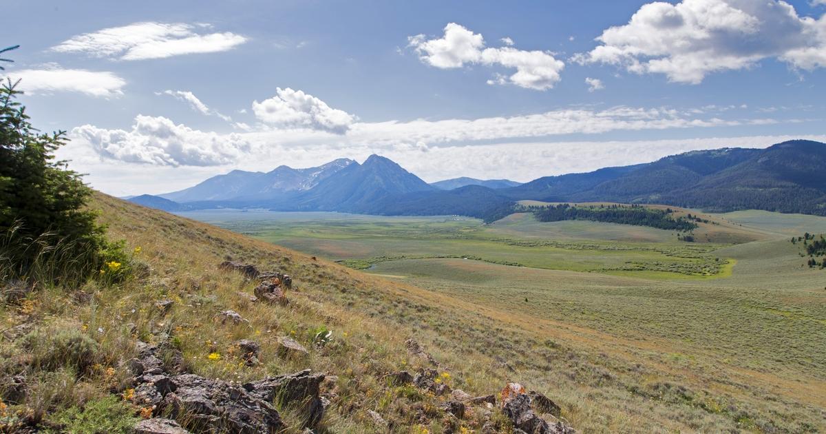 A Piece of the Conservation Puzzle