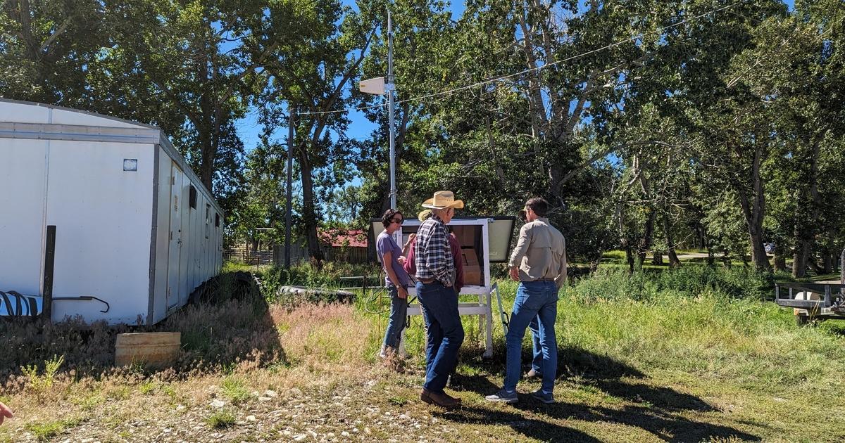 Virtual Fences: A Promising Tool for Conservation and Ranching
