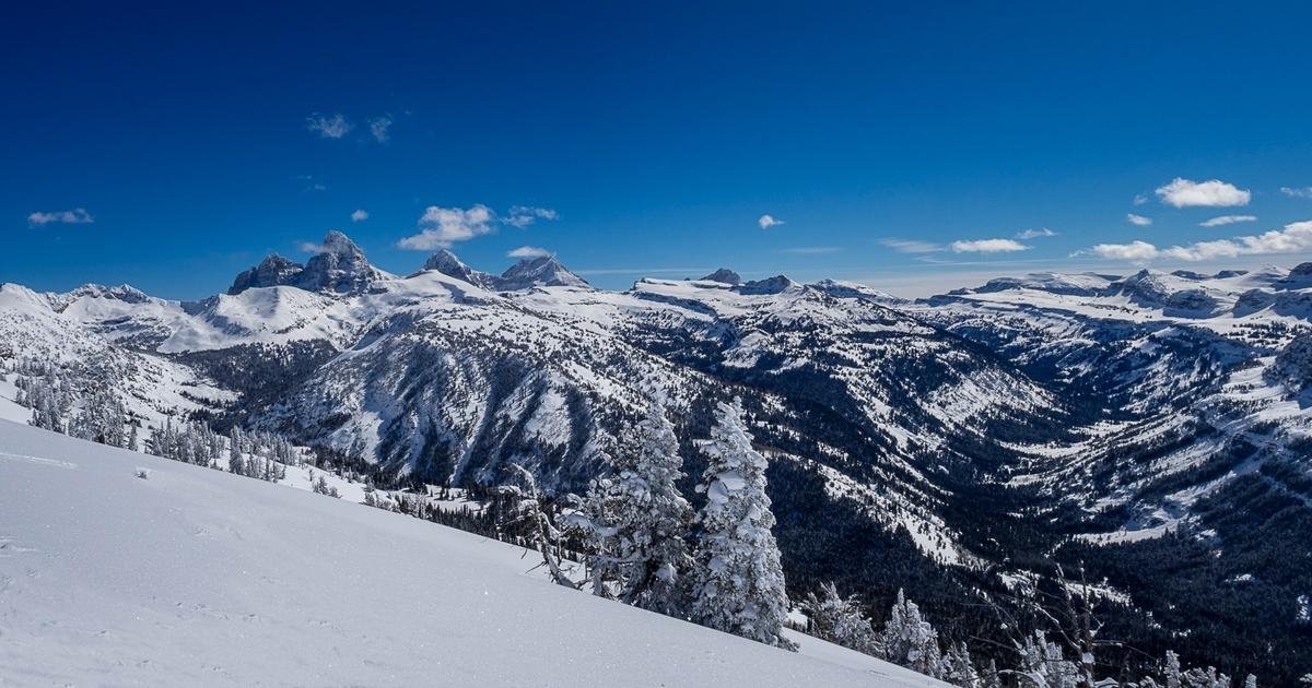 If You Build it, Will They Come?