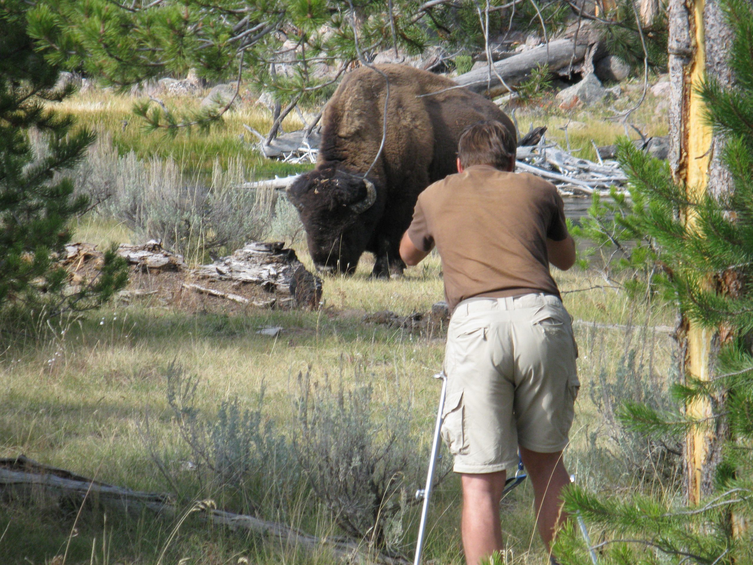 How Being a Good Neighbor in Greater Yellowstone Got Harder - Mountain ...