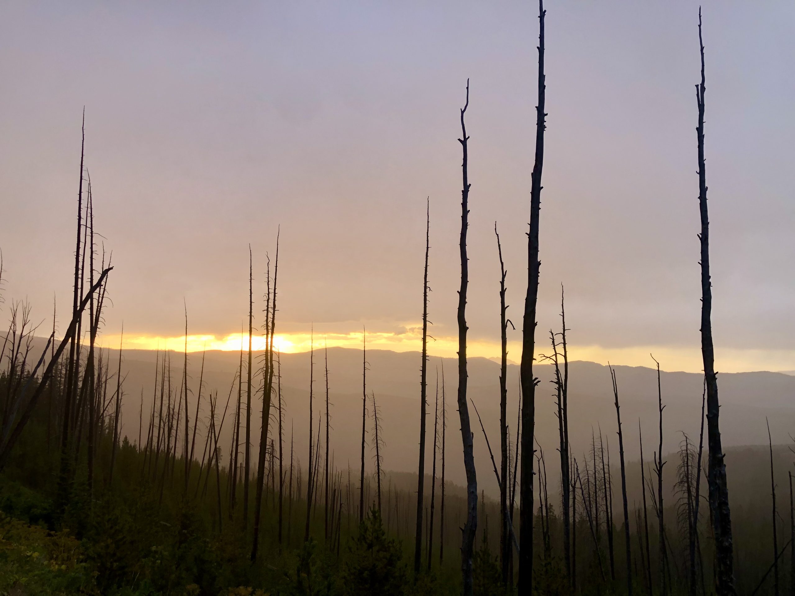 Fast-tracked Forest Service Project Fails Integrity Test in Cooke City ...
