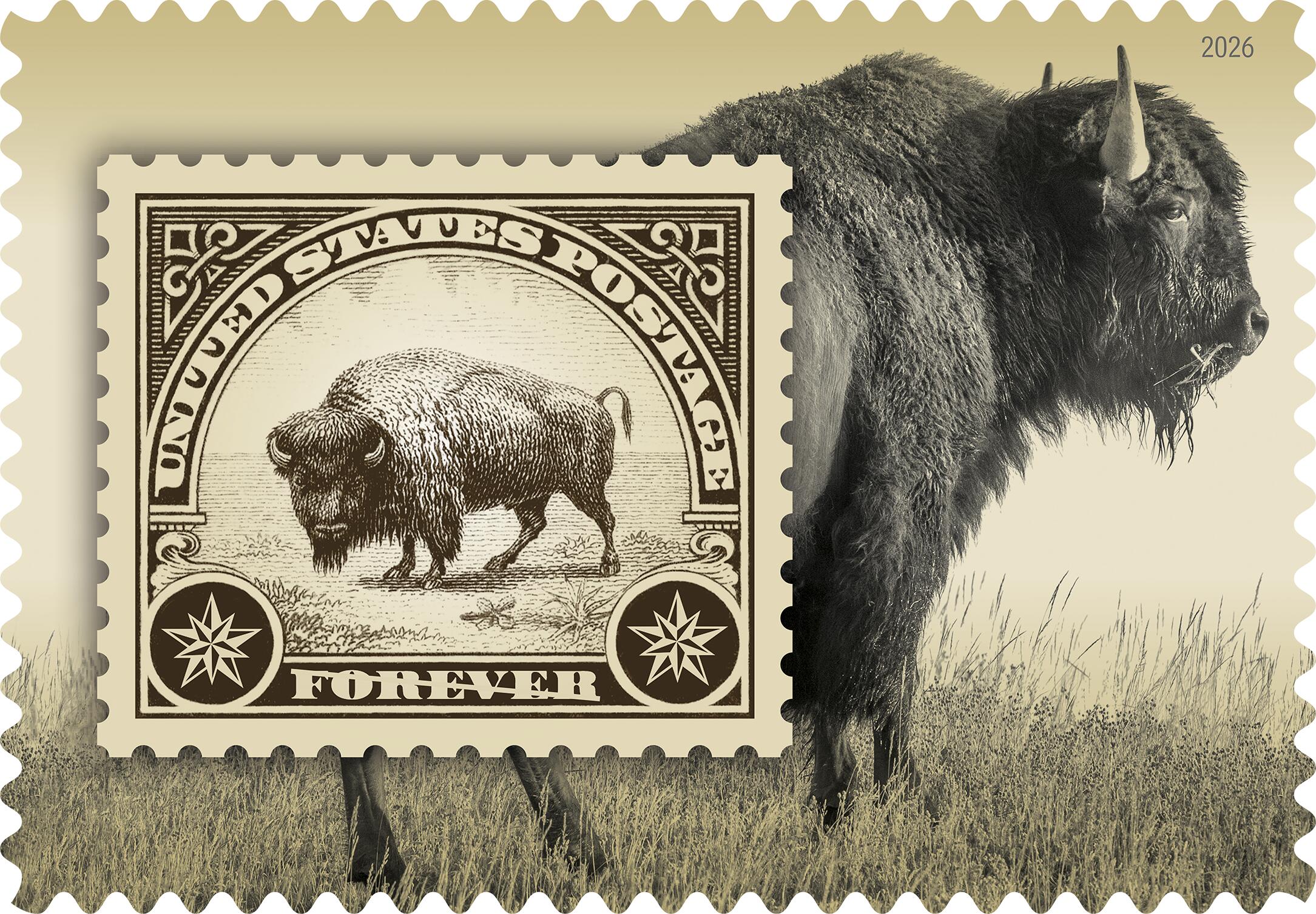 Stamp of the Wild: Tom Murphy’s Bison Imagery Hits Mailboxes - Mountain ...